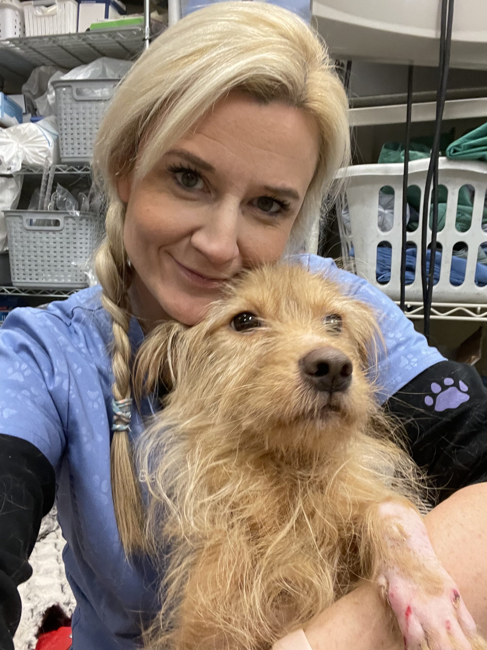 Dr. Emily Davis Bewley '98 Named 2021 Kentucky Veterinarian of the Year ...